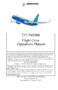 Boeing 737 NG and MAX – Flight Manuals – JSFsim – Innovative Technology ...